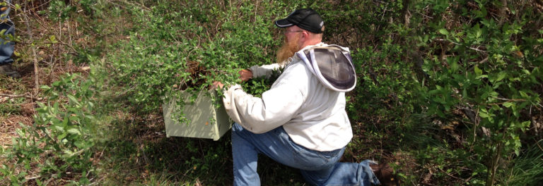 Frederick County Beekeeping Association – Educate and Advocate for ...